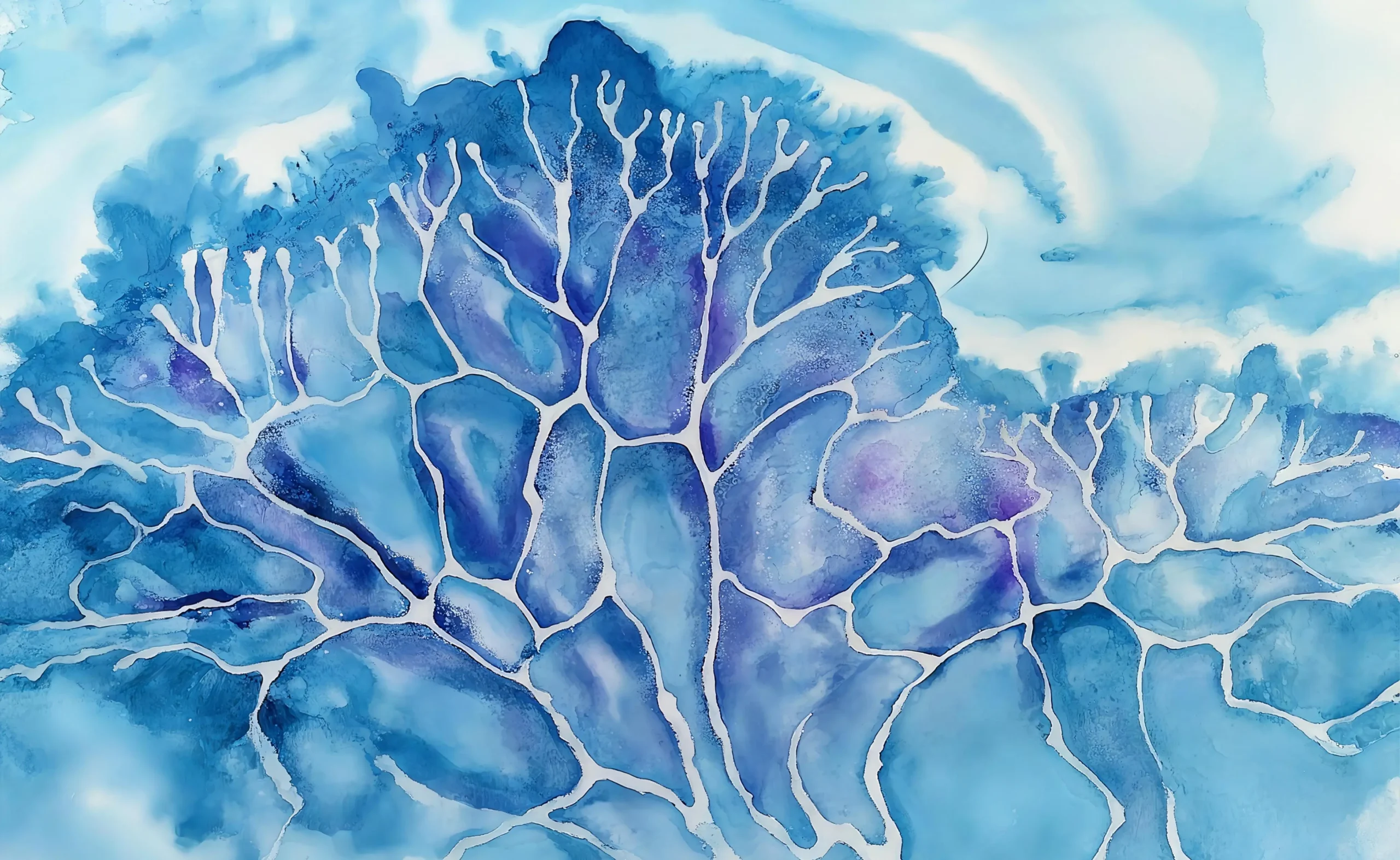 About Bota – Bota Biosciences